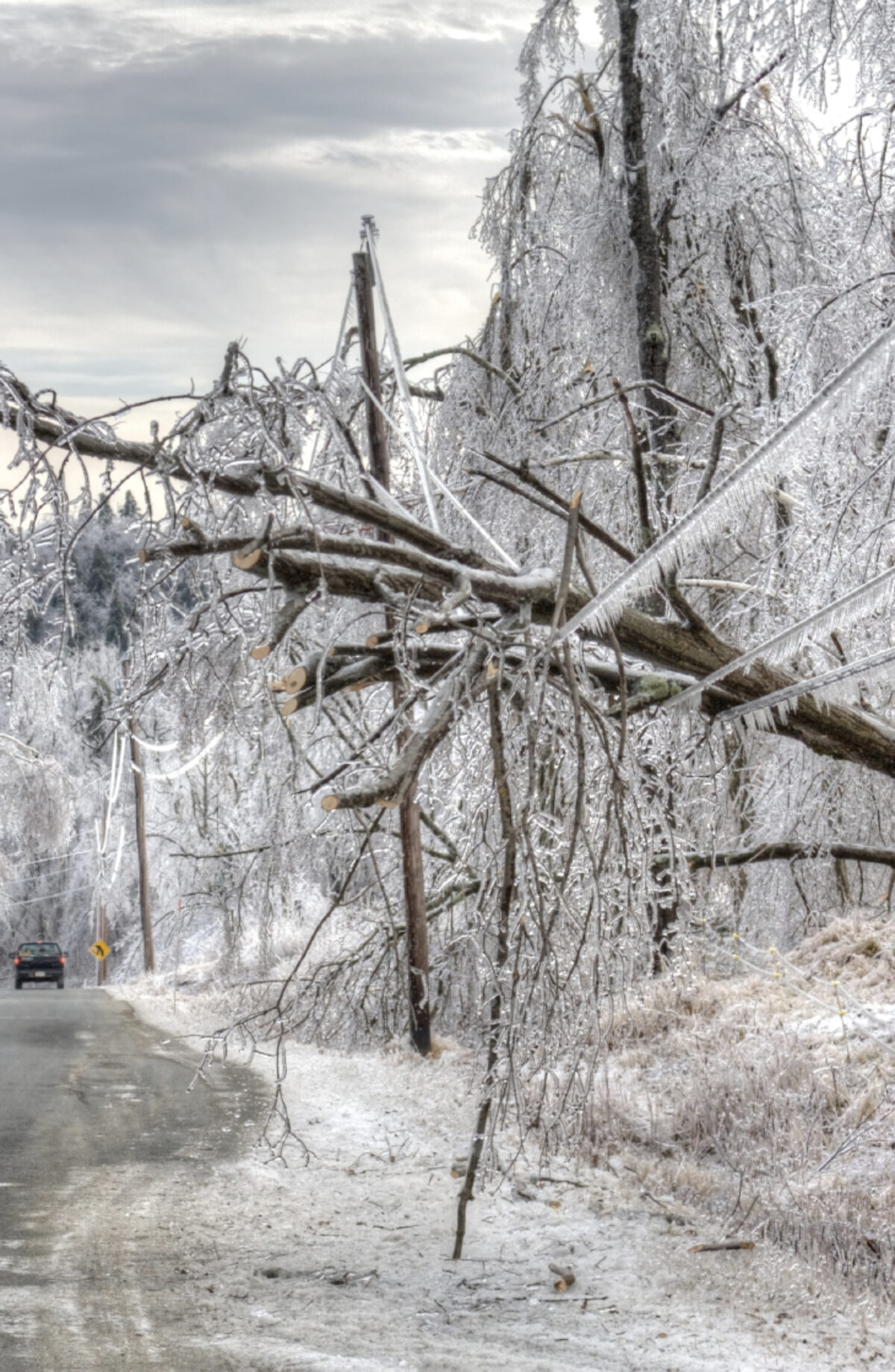 5 Things to Do Now to Prepare for Winter Storms – Champion Power Equipment