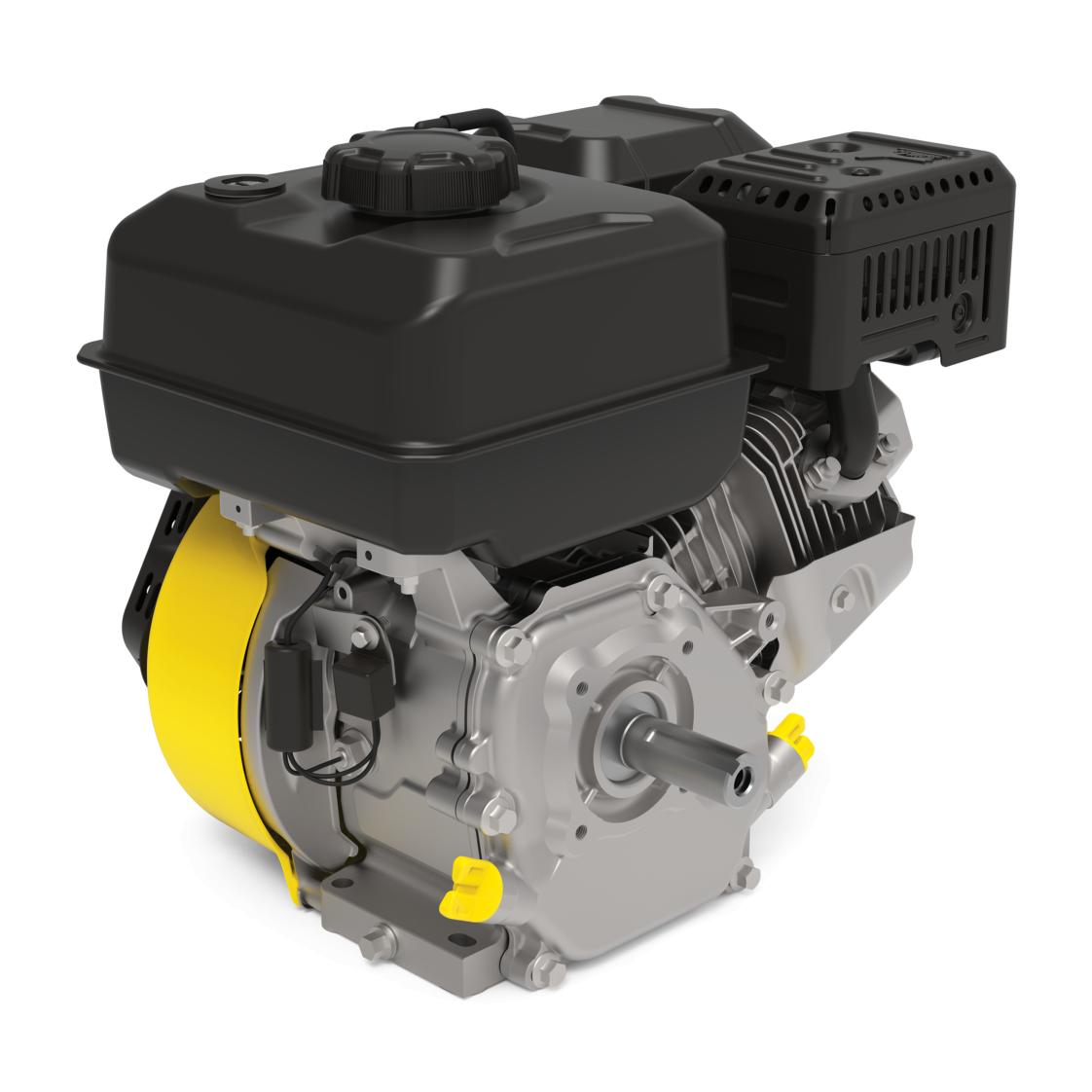 224cc Horizontal Engine - 100738 - Champion Power Equipment